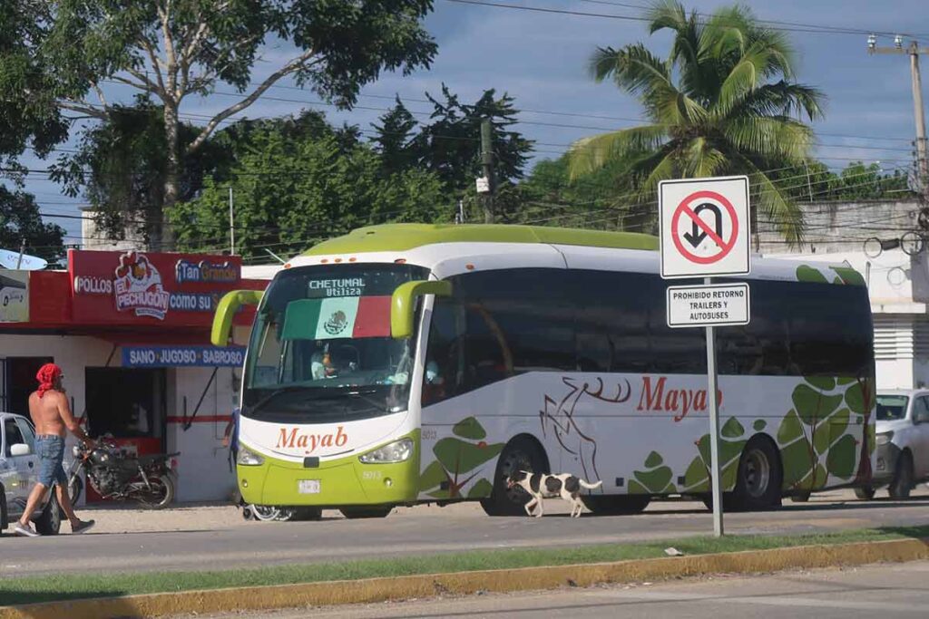 Costa Maya Safety Guide 2026: What You Need to Know